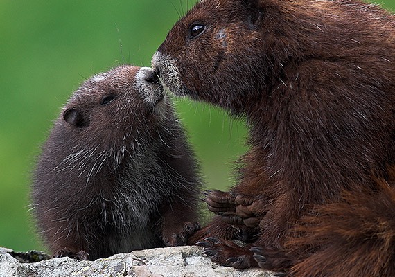 Take Action | The Wilder Institute