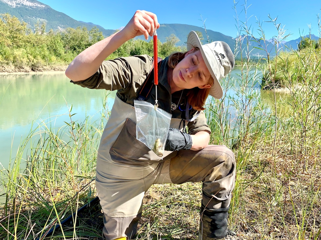 News Releases - Wilder Institute